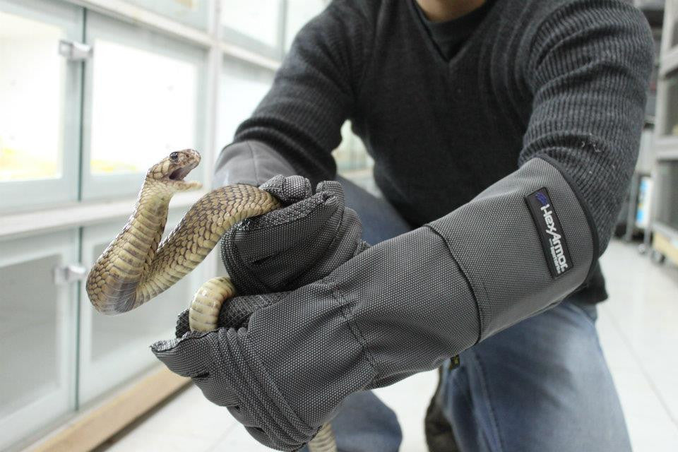 Colecciones – REPTILE TRADE