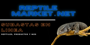 REPTILE TRADE